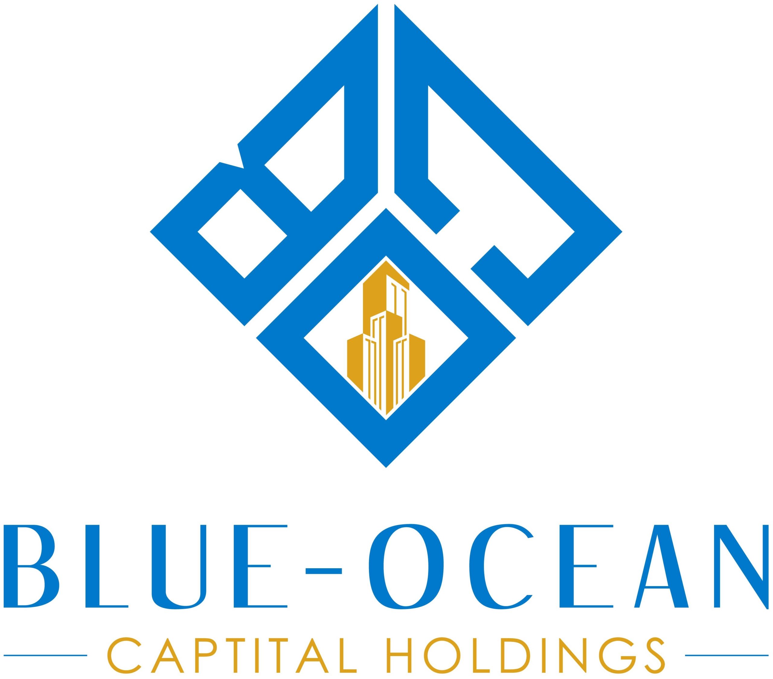 Portfolio Blue Ocean Capital Holdings